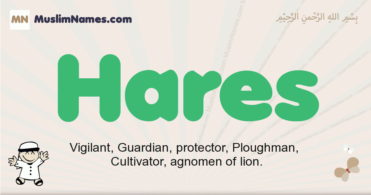 Hares muslim boys name and meaning, islamic boys name Hares