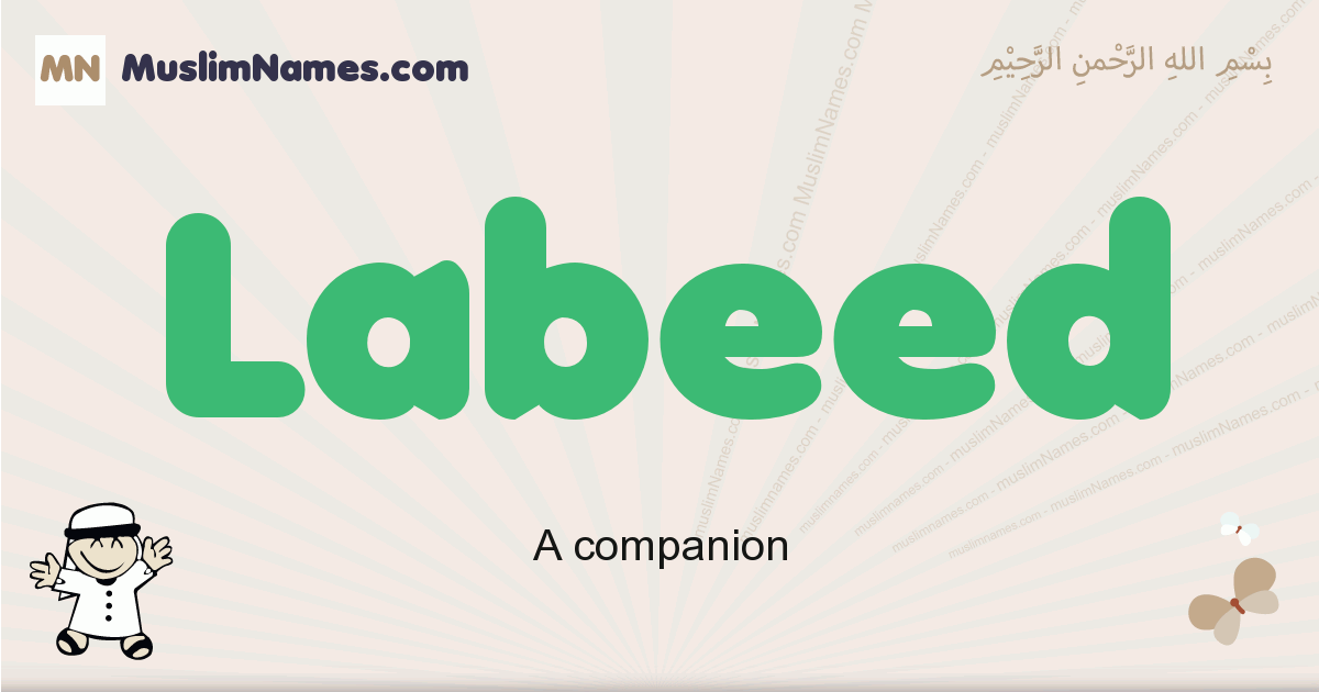 Labeed muslim boys name and meaning, islamic boys name Labeed