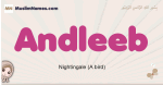 Andleeb muslim girls name and meaning, islamic girls name Andleeb