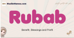 Rubab Meaning, Arabic Muslim name Rubab Meaning