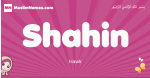 Shahin Meaning, Arabic Muslim name Shahin Meaning
