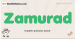 Zamurad muslim boys name and meaning, islamic boys name Zamurad